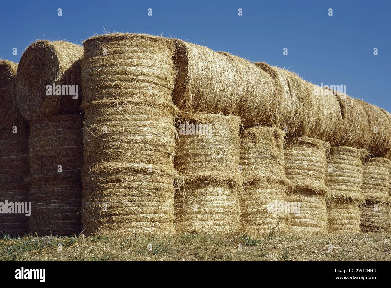 Hay roll storage hi-res stock photography and images - Alamy