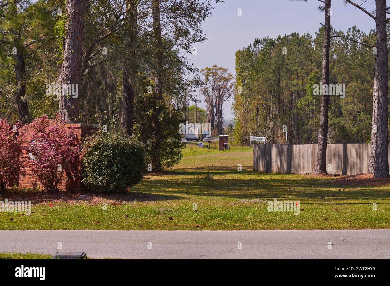 Early Spring day in southern Georgia with green trees and blue sky ...