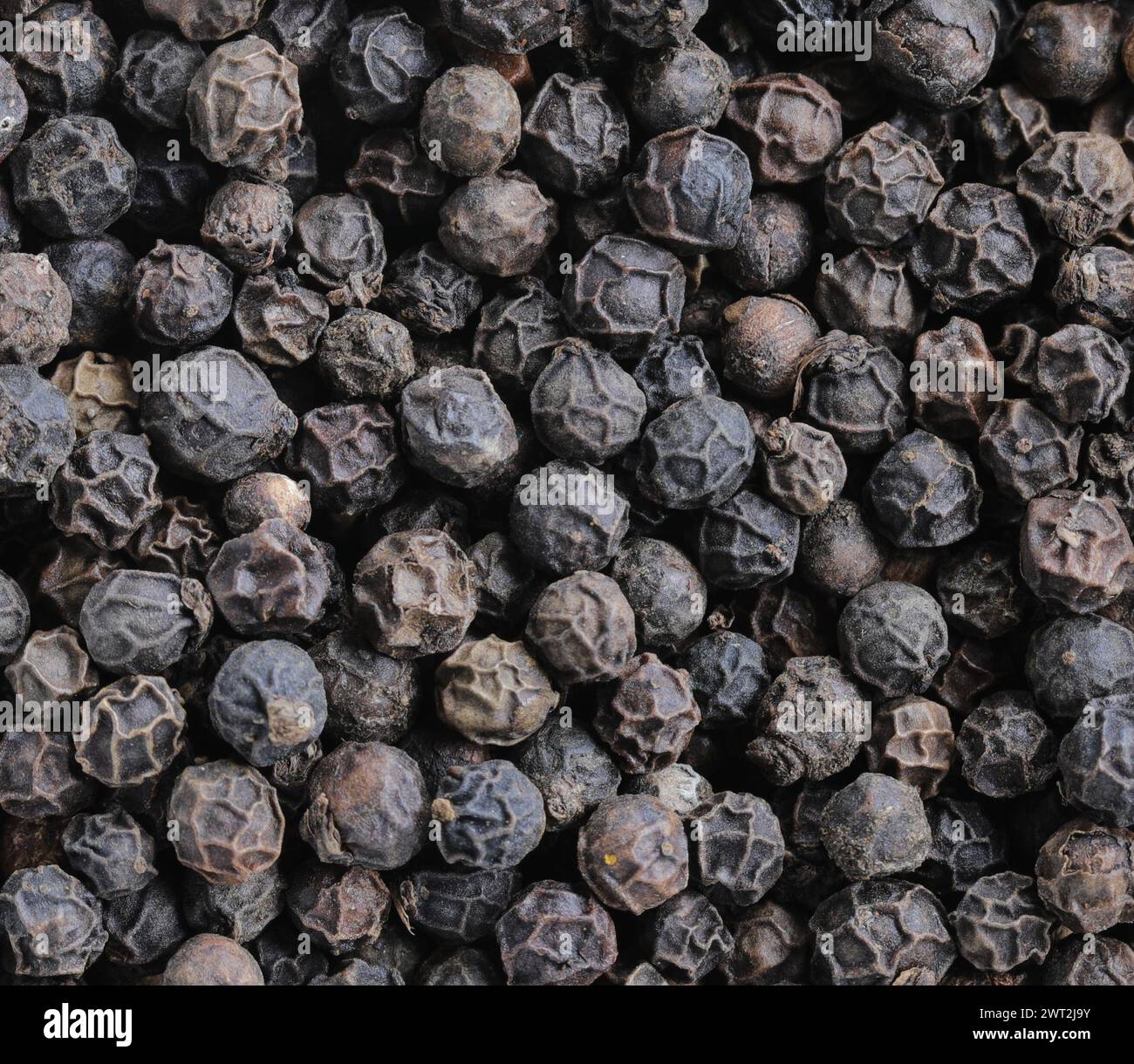 Madras flavours hi-res stock photography and images - Alamy