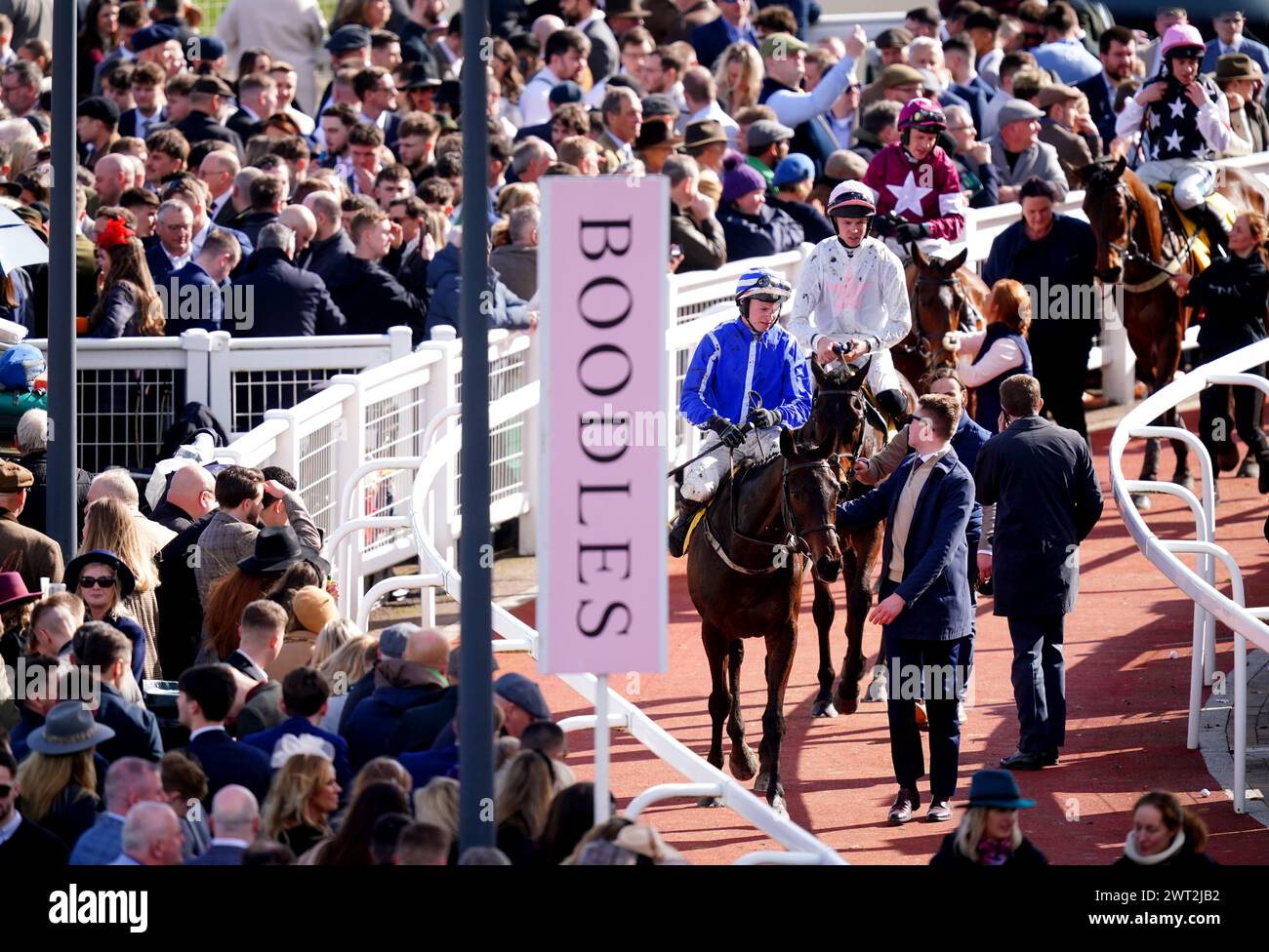 Runners and riders return after competing in the JCB Triumph Hurdle on ...