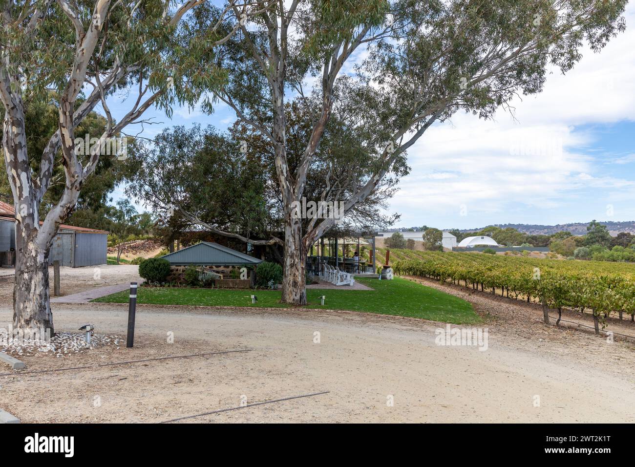 Barossa Valley , David Franz small batch vineyard with cellar door ...