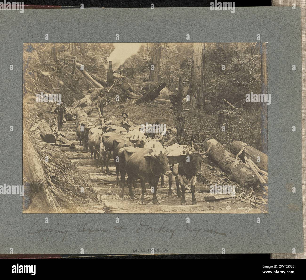 Donkey engine hi-res stock photography and images - Alamy