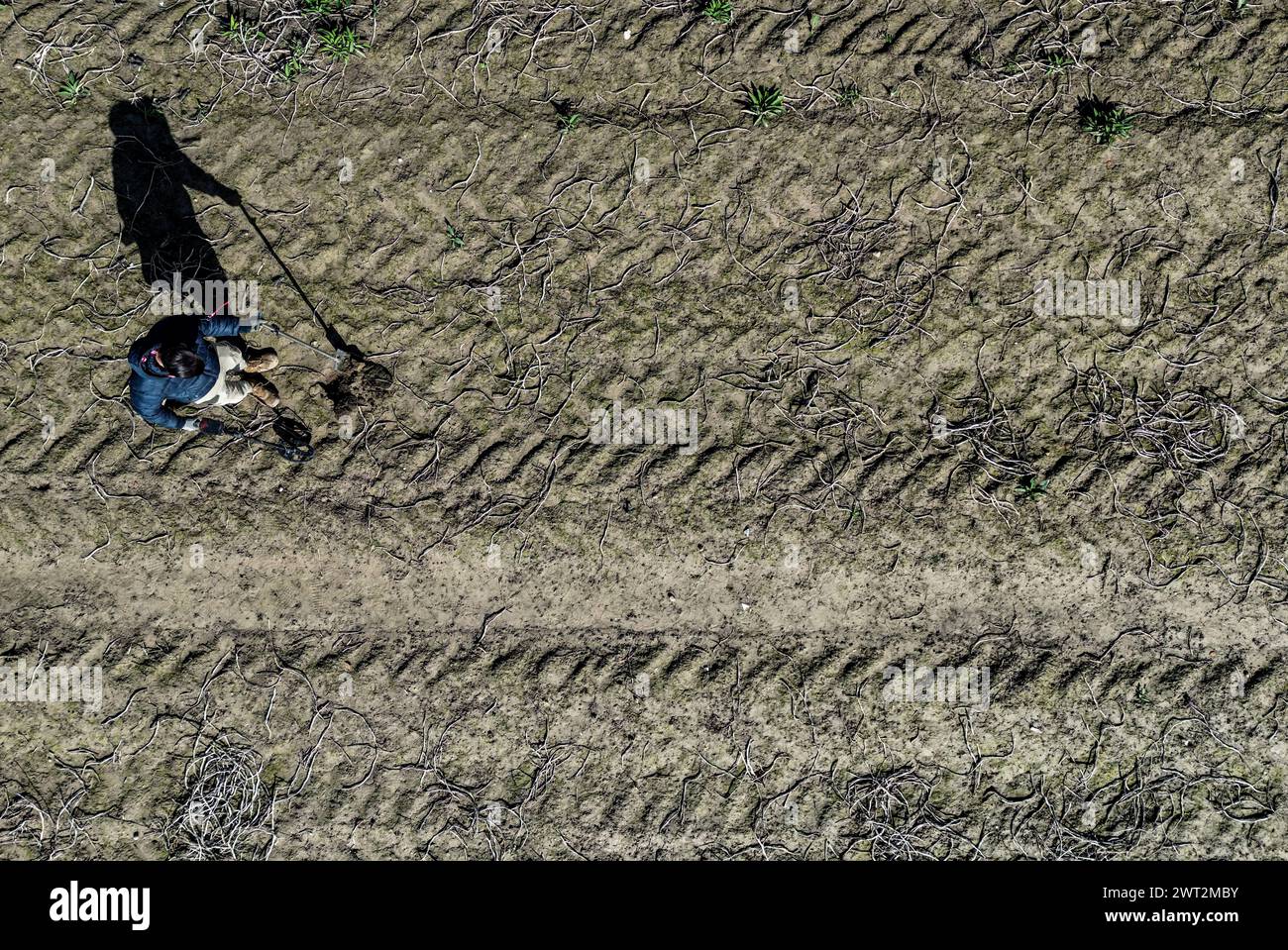 Bergheim, Germany. 15th Mar, 2024. Treasure hunter Carsten Konze walks ...