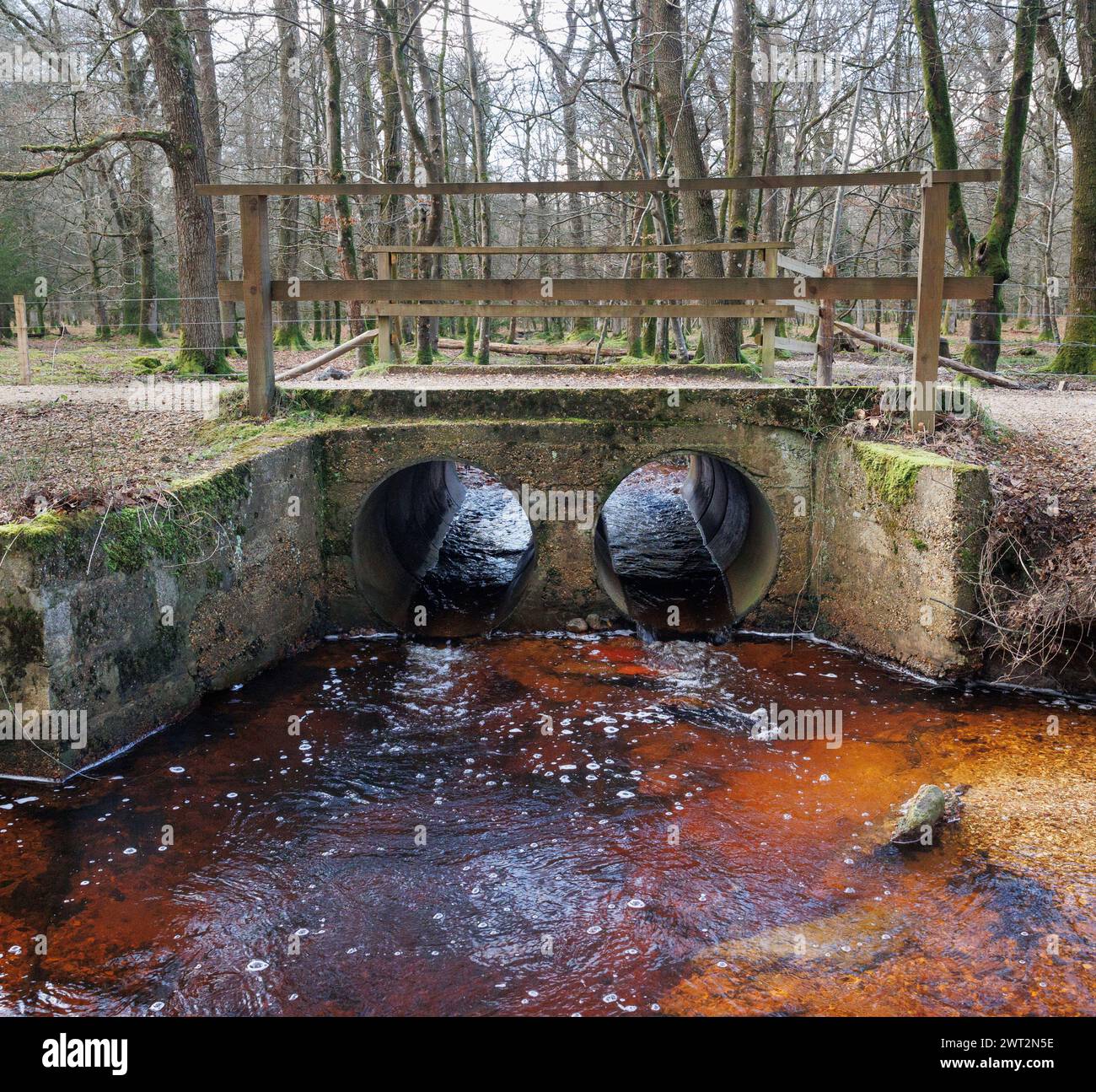 An unusual bridge with two parallel tubes over a small river in the New ...