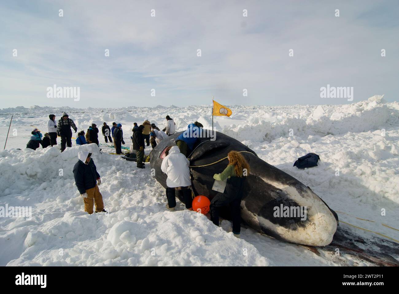 Inupiaq eskimo skin boat hi-res stock photography and images - Alamy