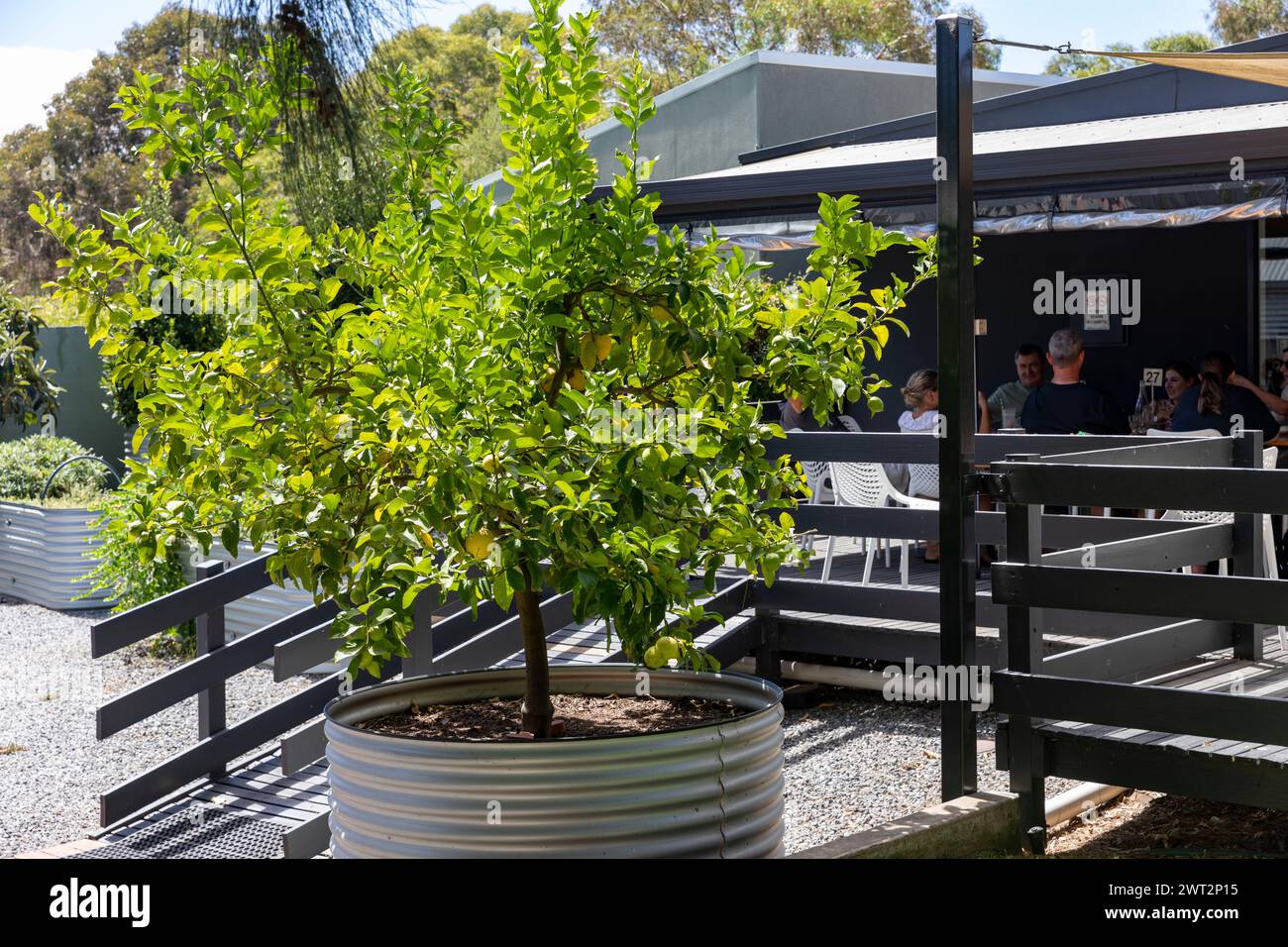 Maggie Beer farm shop in Nuriootpa, Barossa Valley,South Australia ...