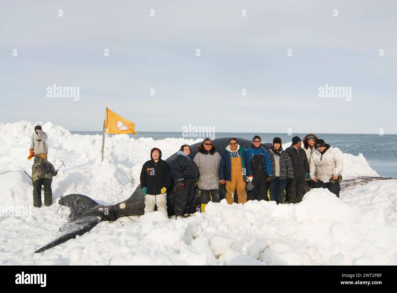 Inupiaq eskimo skin boat hi-res stock photography and images - Alamy