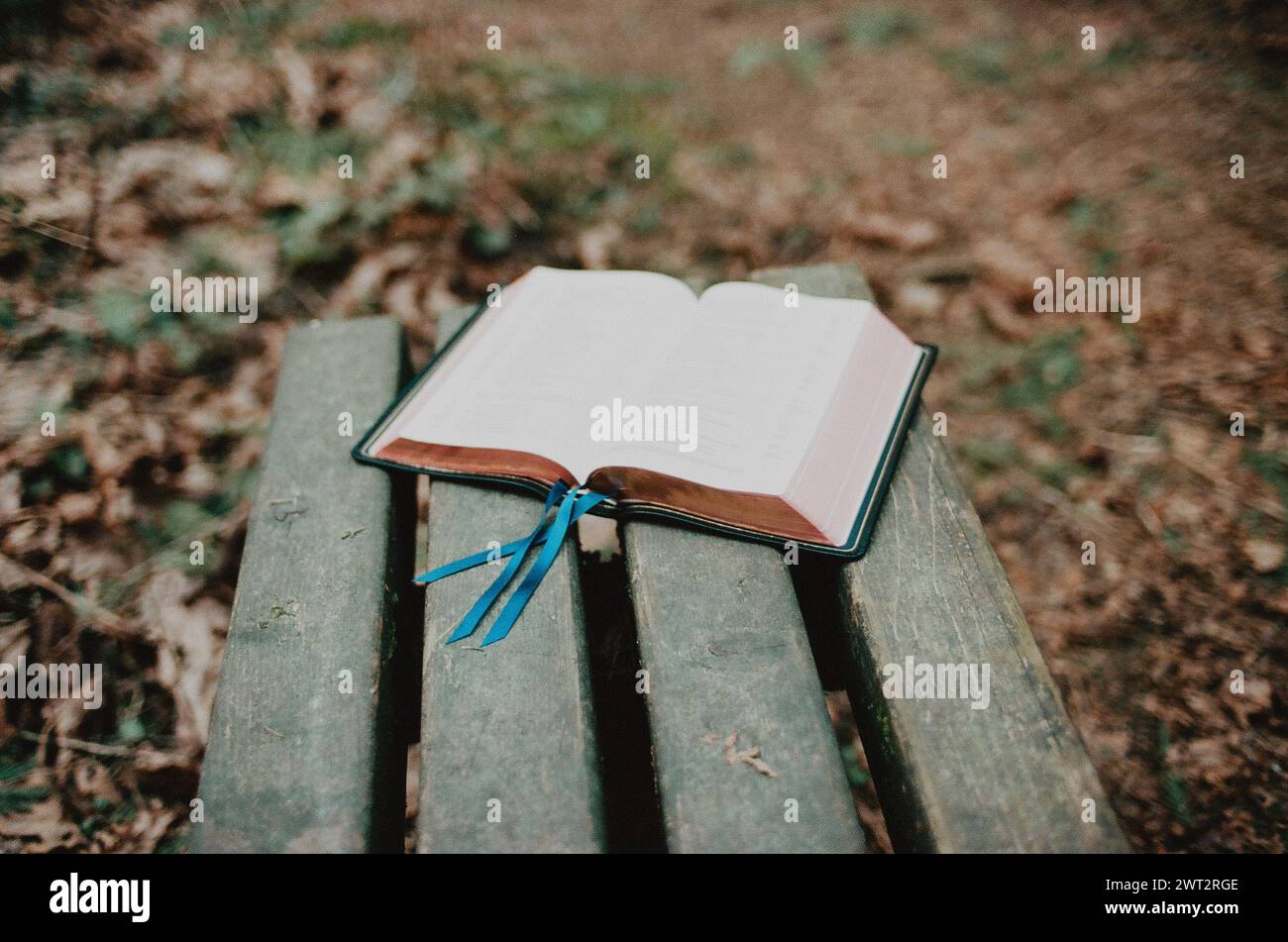 A dark wooden park bench with a bible open to the middle and a leaf ...
