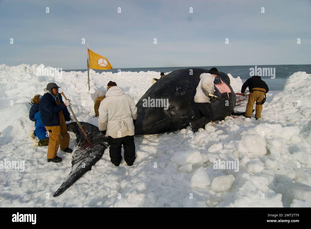 Inupiaq eskimo skin boat hi-res stock photography and images - Alamy