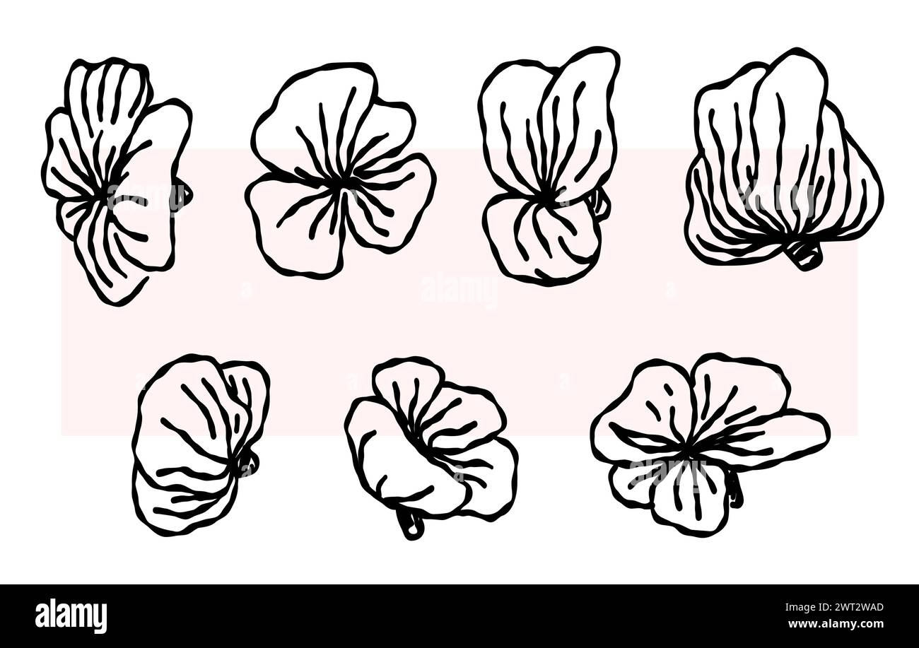 Doodle set of flowers. vector drawing, line. Monochrome artistic ...