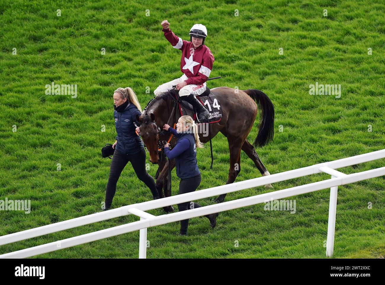 Stellar story hi-res stock photography and images - Alamy