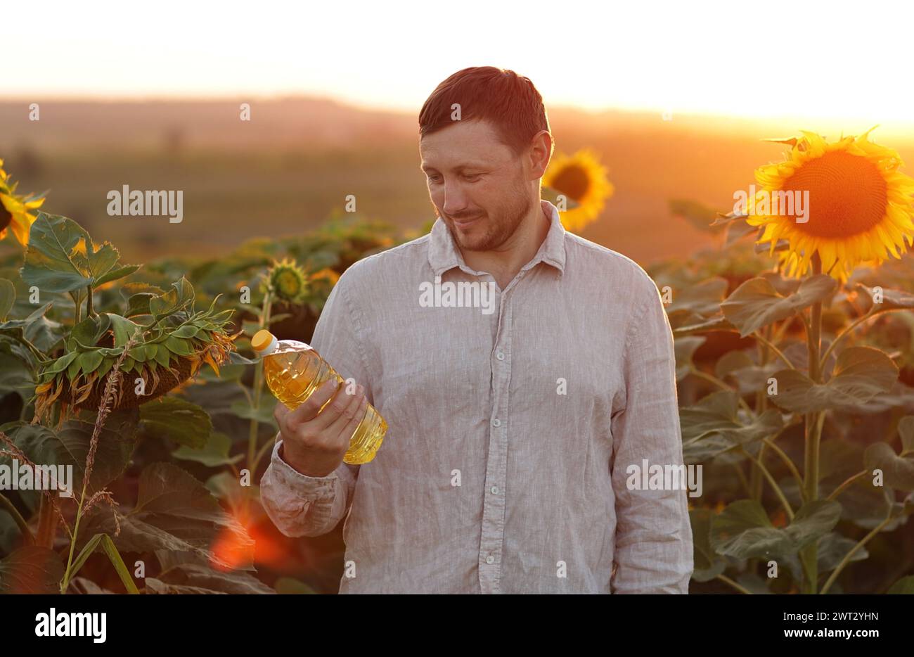 Male farmer holds plastic bottle of sunflower oil at blooming sunflower ...