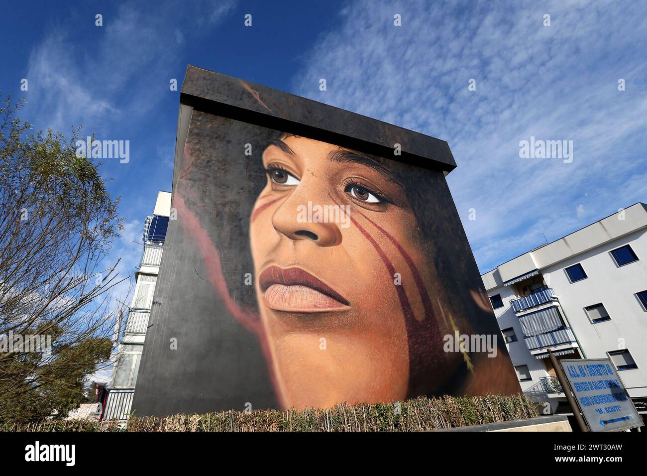 A giant mural by the street artist Jorit Agoch, depicting Angela Davis ...