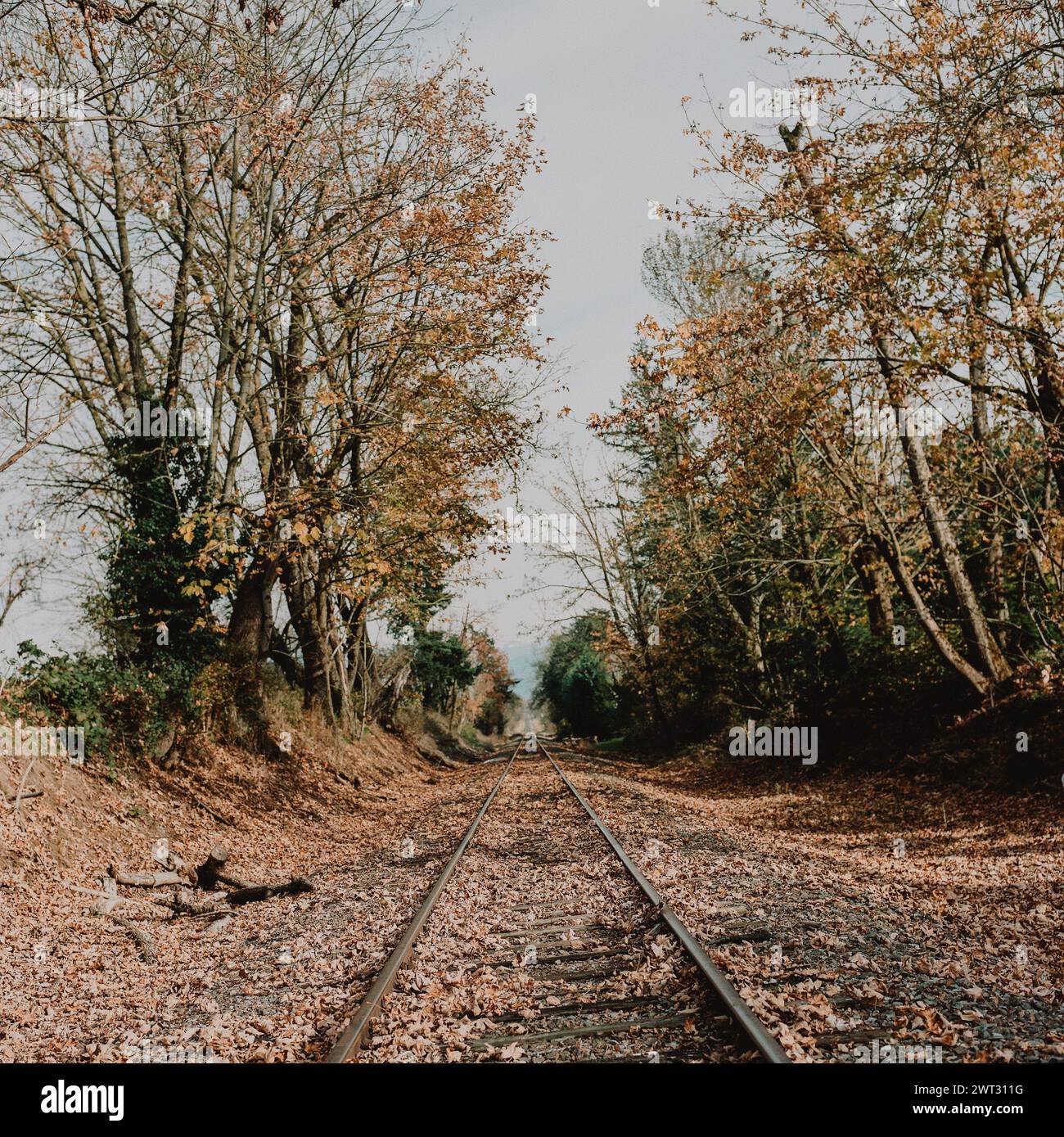 Rail road tracks in the fall hi-res stock photography and images - Alamy
