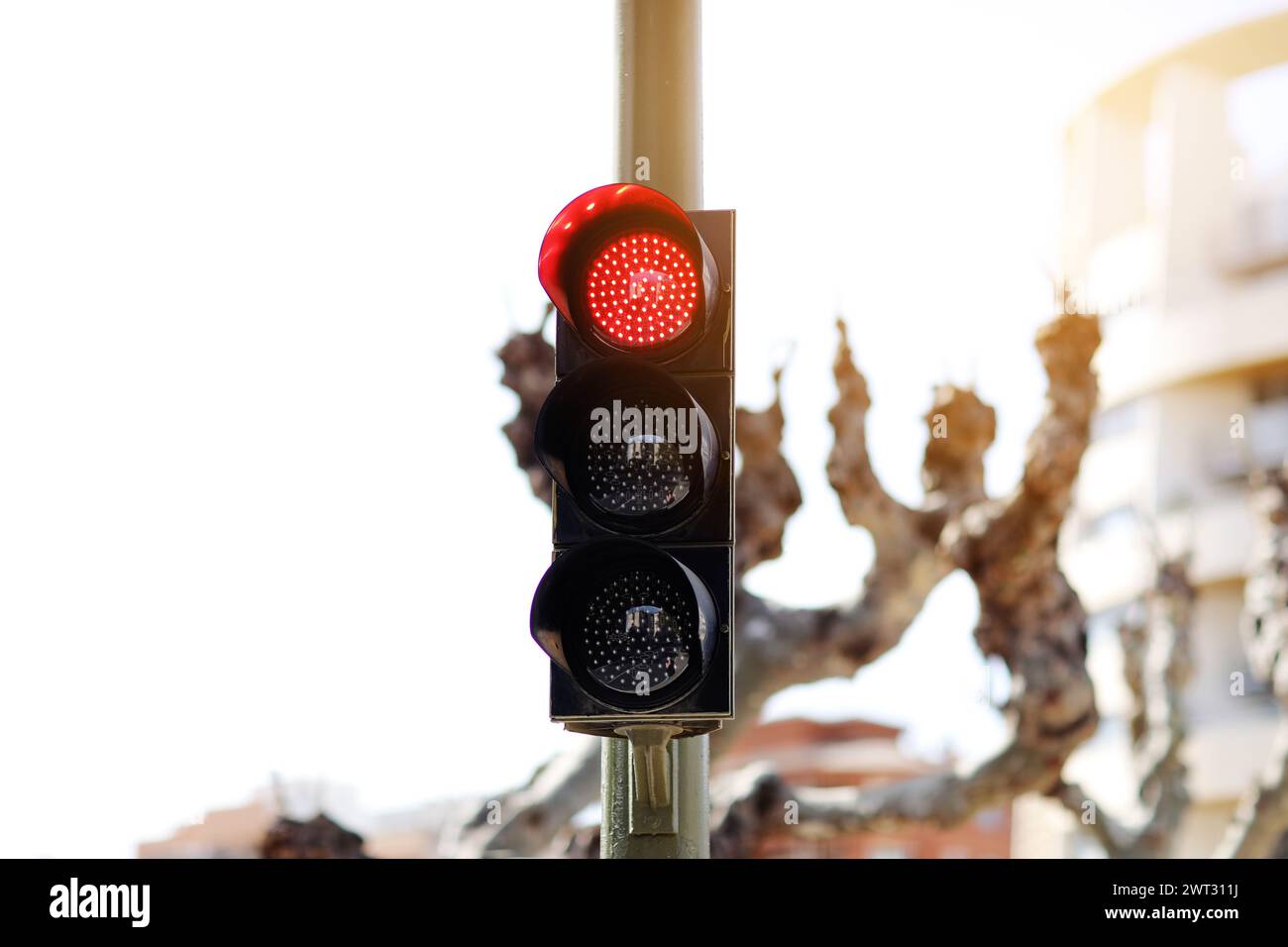 LED red light traffic light on defocused european buildings and trees ...