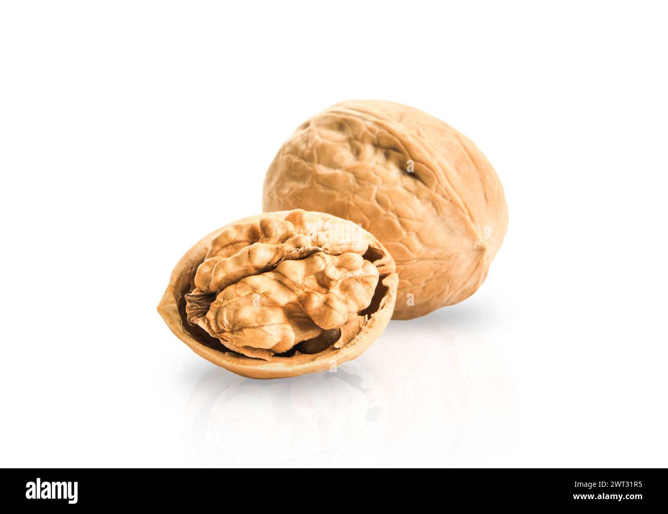 Walnut single isolated on white background with clipping path. Design ...