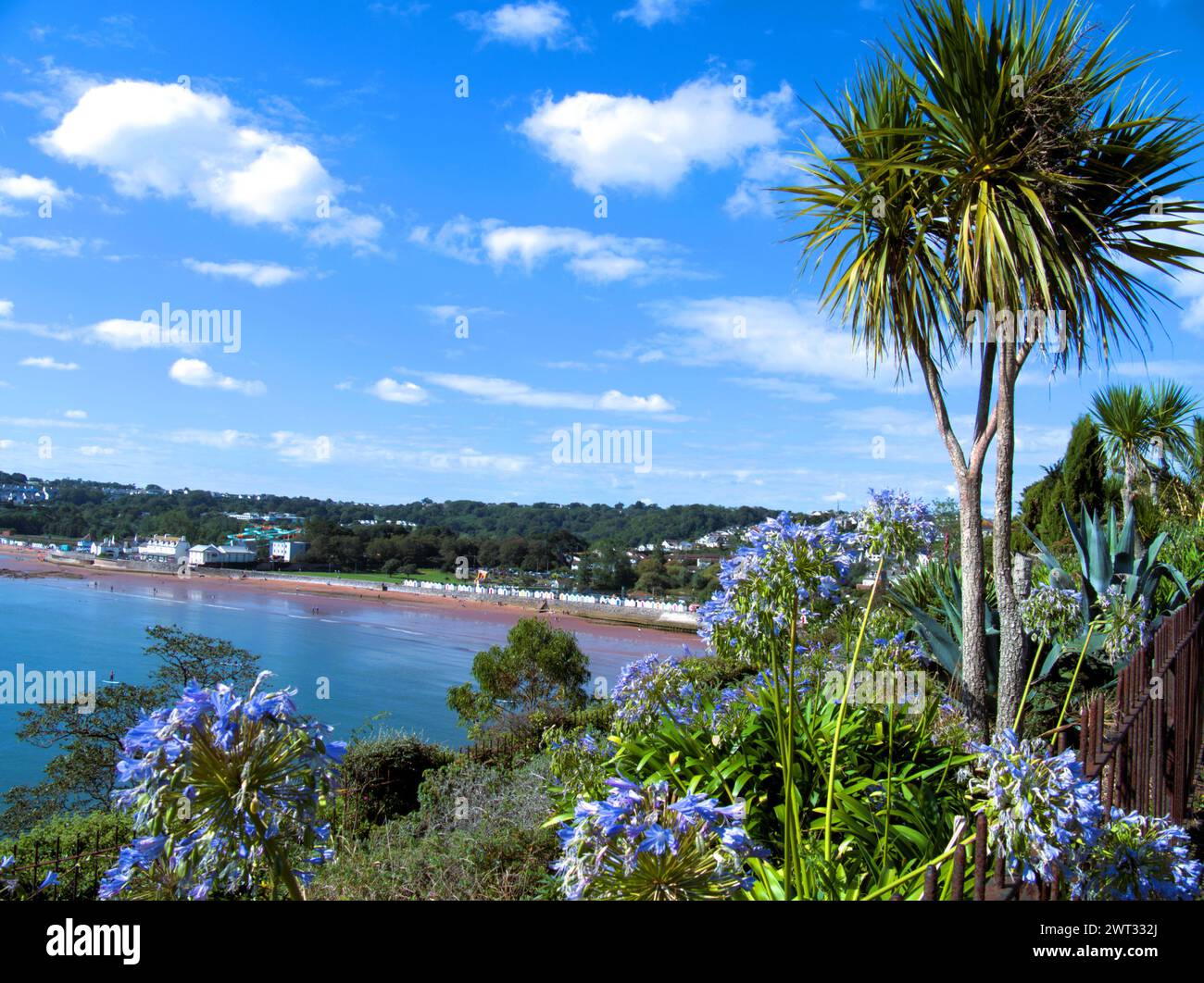 Torbay palm hi-res stock photography and images - Alamy