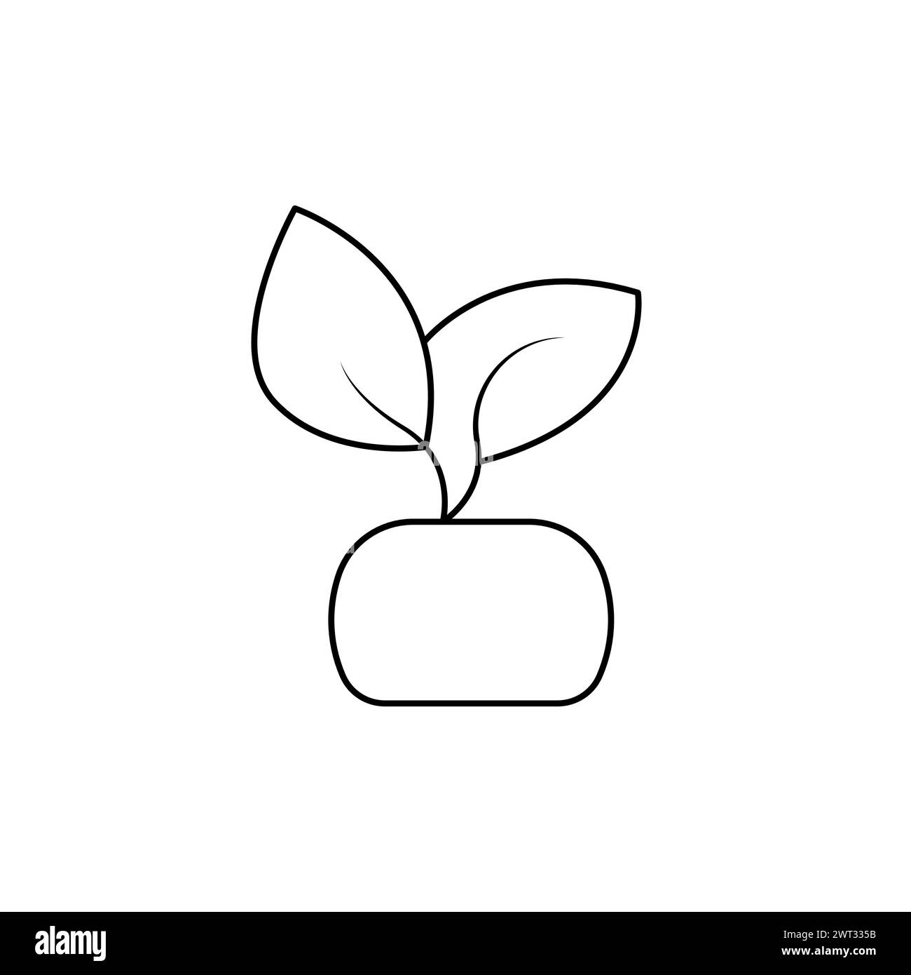 Monstera leaves icon linear Cut Out Stock Images & Pictures - Alamy