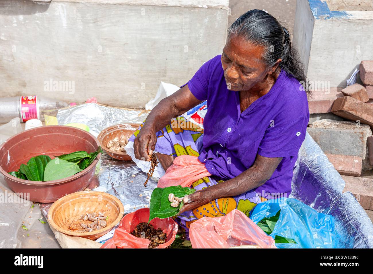 Sri Lanka, Colombo, Areca nut (Betel nut) preparation in betel leaves ...