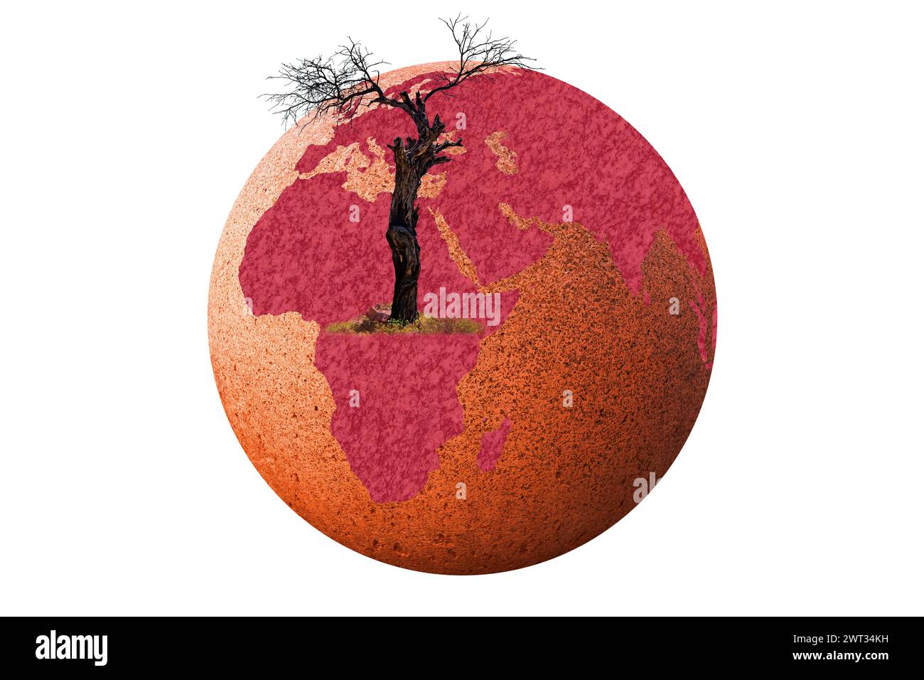 Climate change tree europe Cut Out Stock Images & Pictures - Alamy