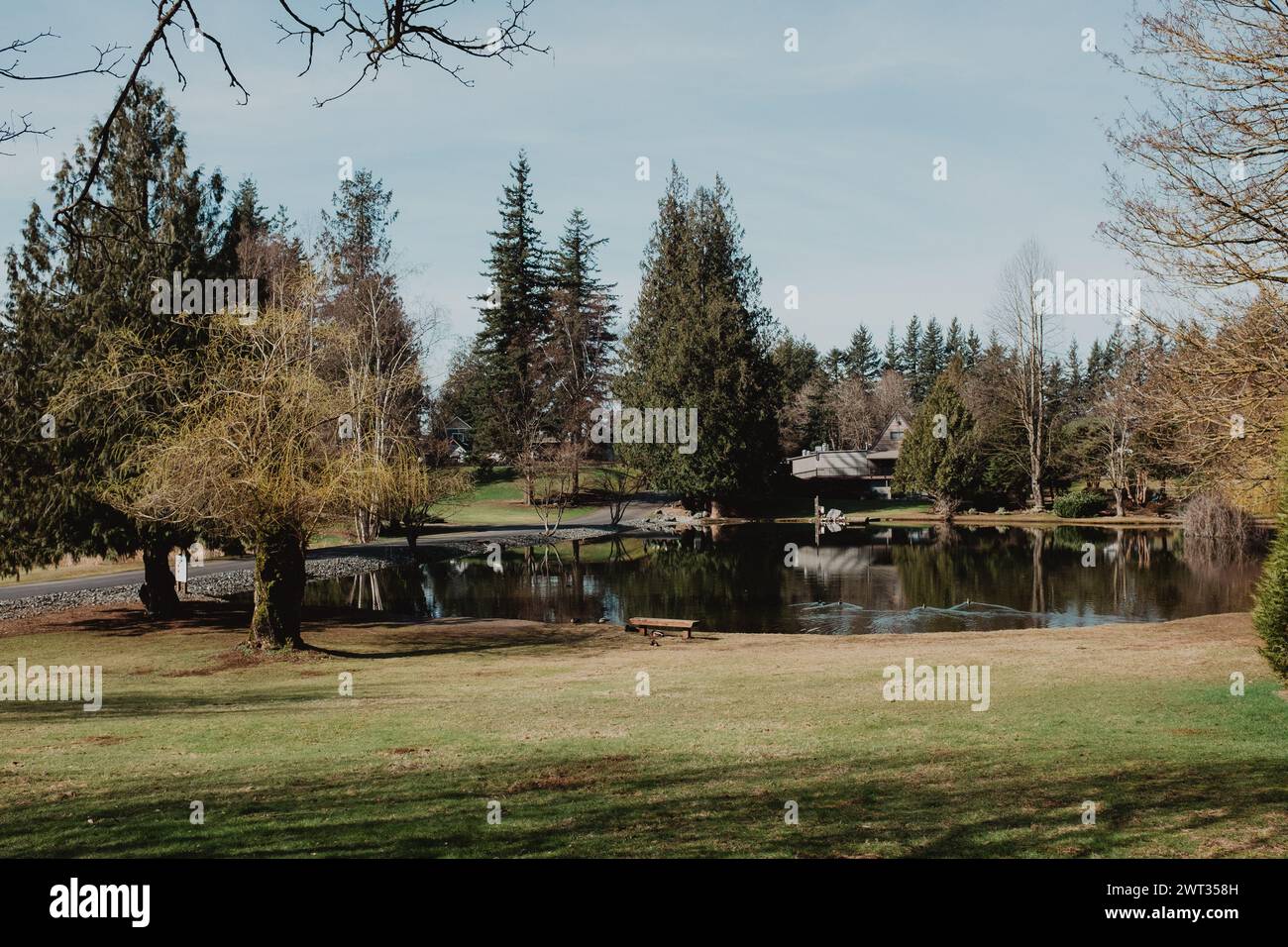 Lake with trees Stock Photo - Alamy