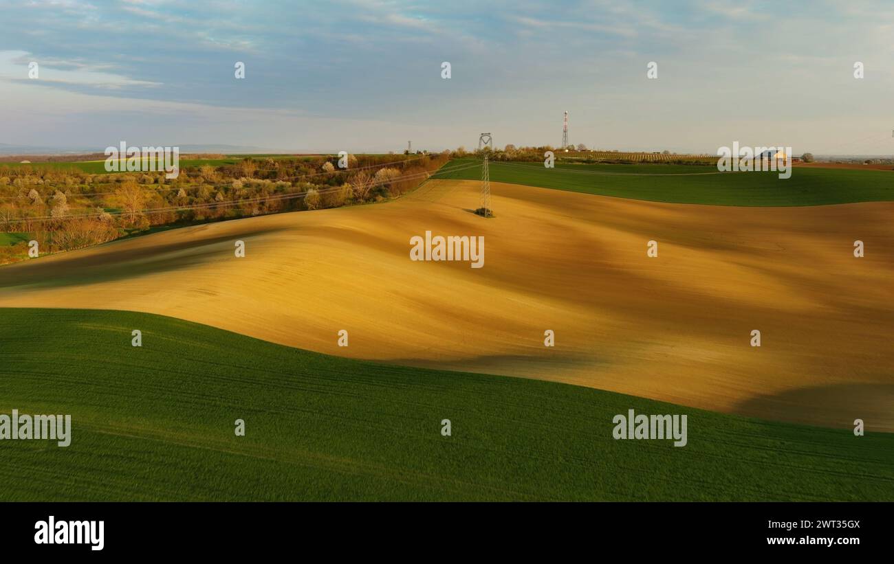 Green wavy hills with agricultural fields Stock Photo - Alamy