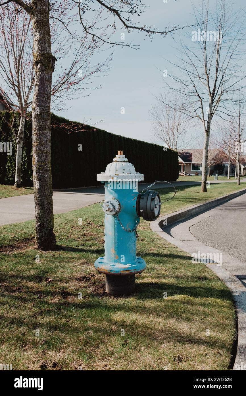 blue fire hydrant Stock Photo - Alamy