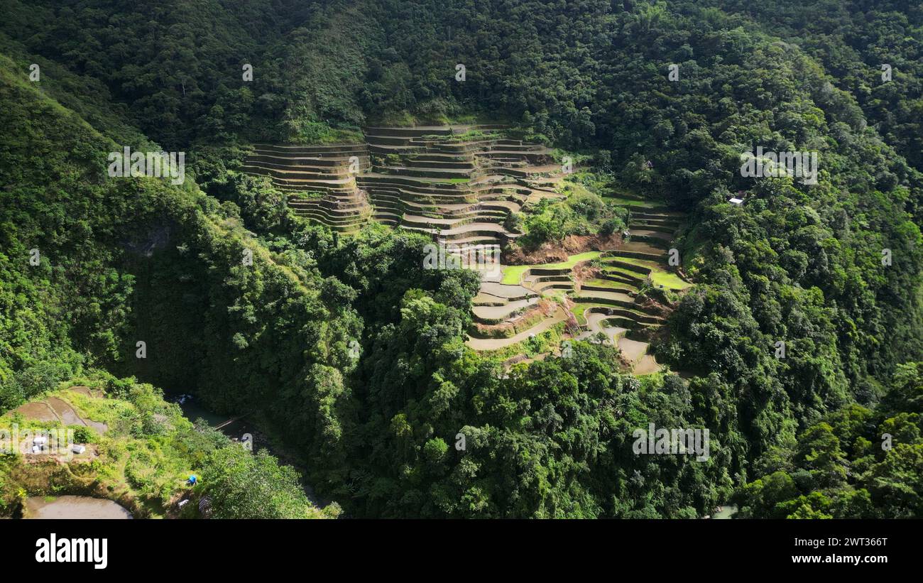 Flying over rice terraces in hi-res stock photography and images - Alamy