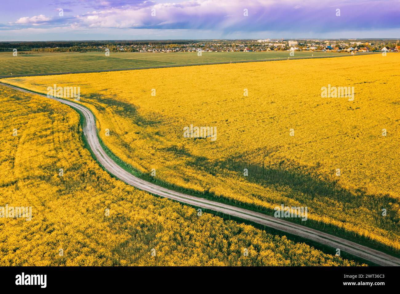 Top Elevated View Of Agricultural Landscape With Flowering Blooming ...