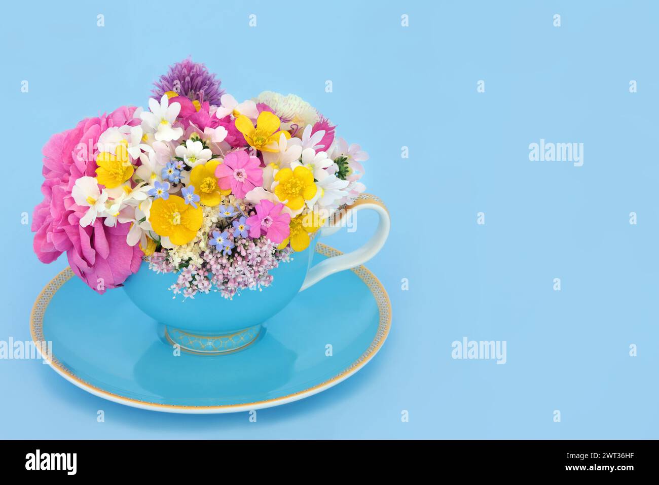 Flowers and wildflowers teacup surreal arrangement on blue background ...
