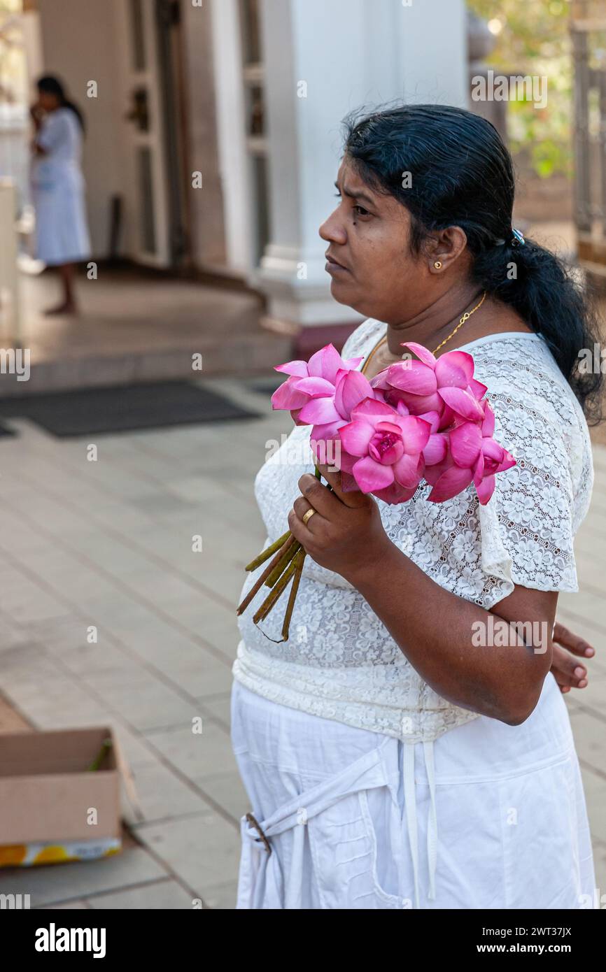 Sri Lanka, Anuradhapura, Sri Maha Bodhi, Pilgrim bringing lotus flowers ...