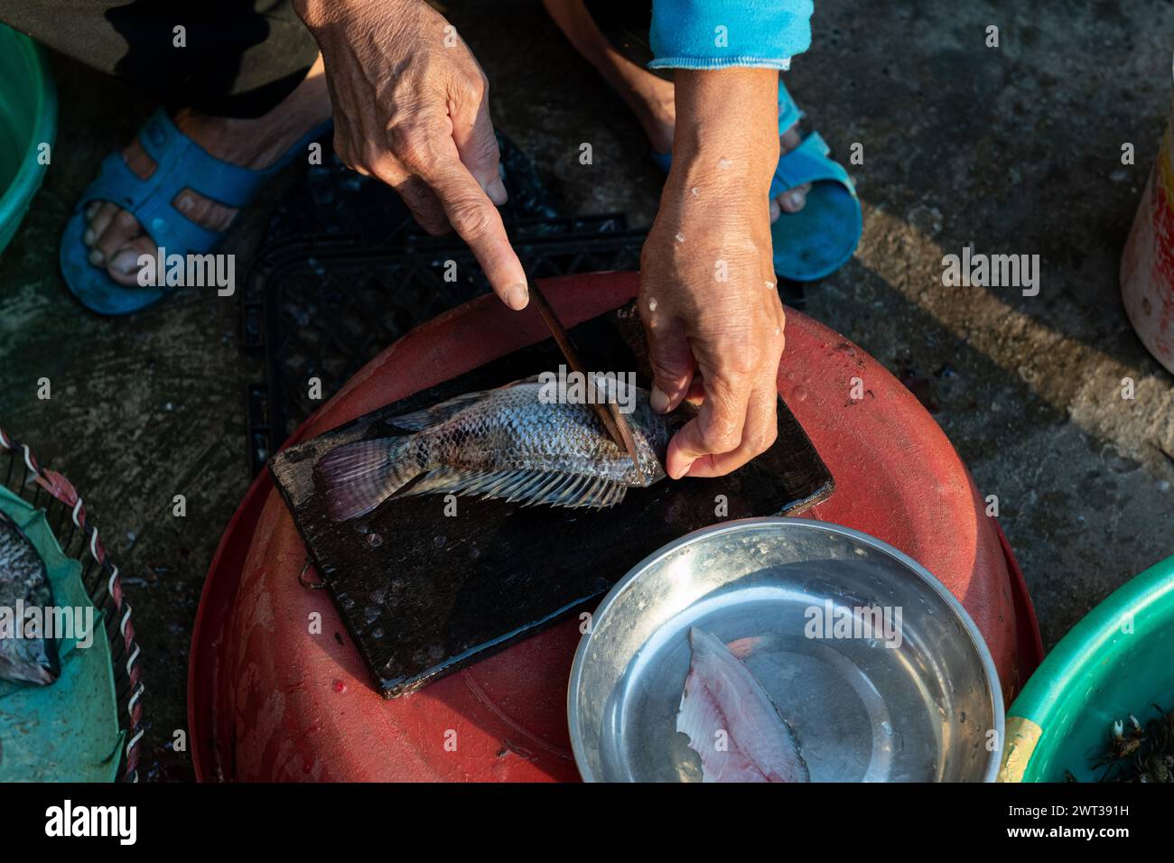 Fish debone hi-res stock photography and images - Alamy