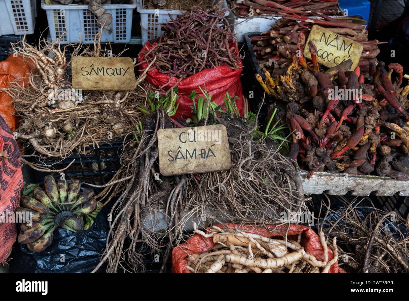 Medicinal herbs and dried roots sold at an open air market in Sapa ...