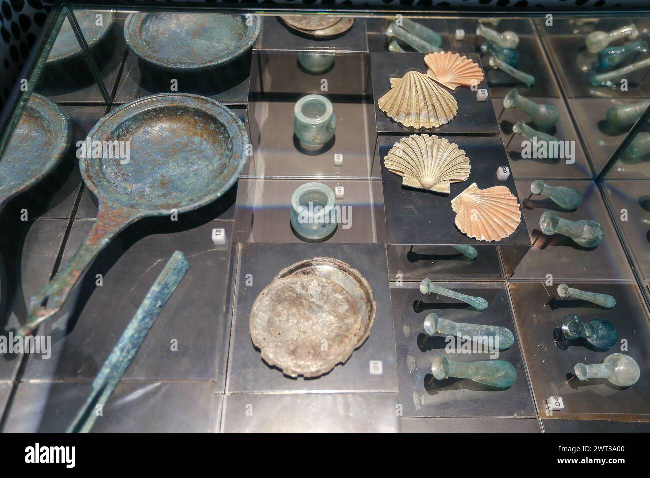 Ancient pompeian objects, including amphorae shells and a silver tray ...