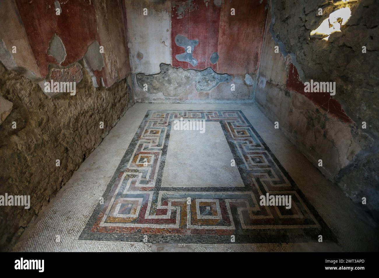 A mosaic inside the Dioscuri house, inside the archaeological ...