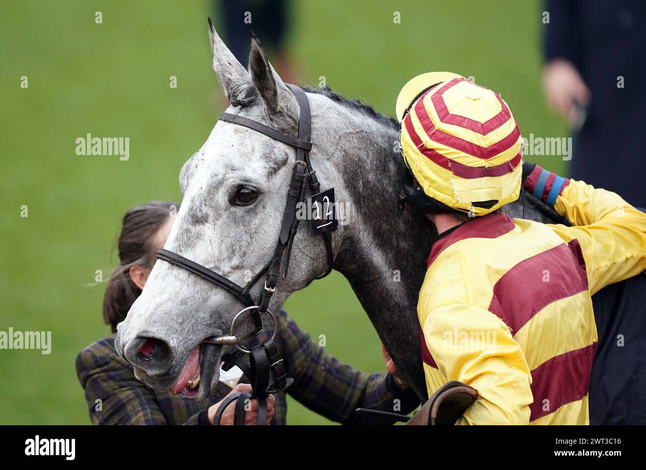 John Dawson with Sine Nomine after winning the St. James's Place ...