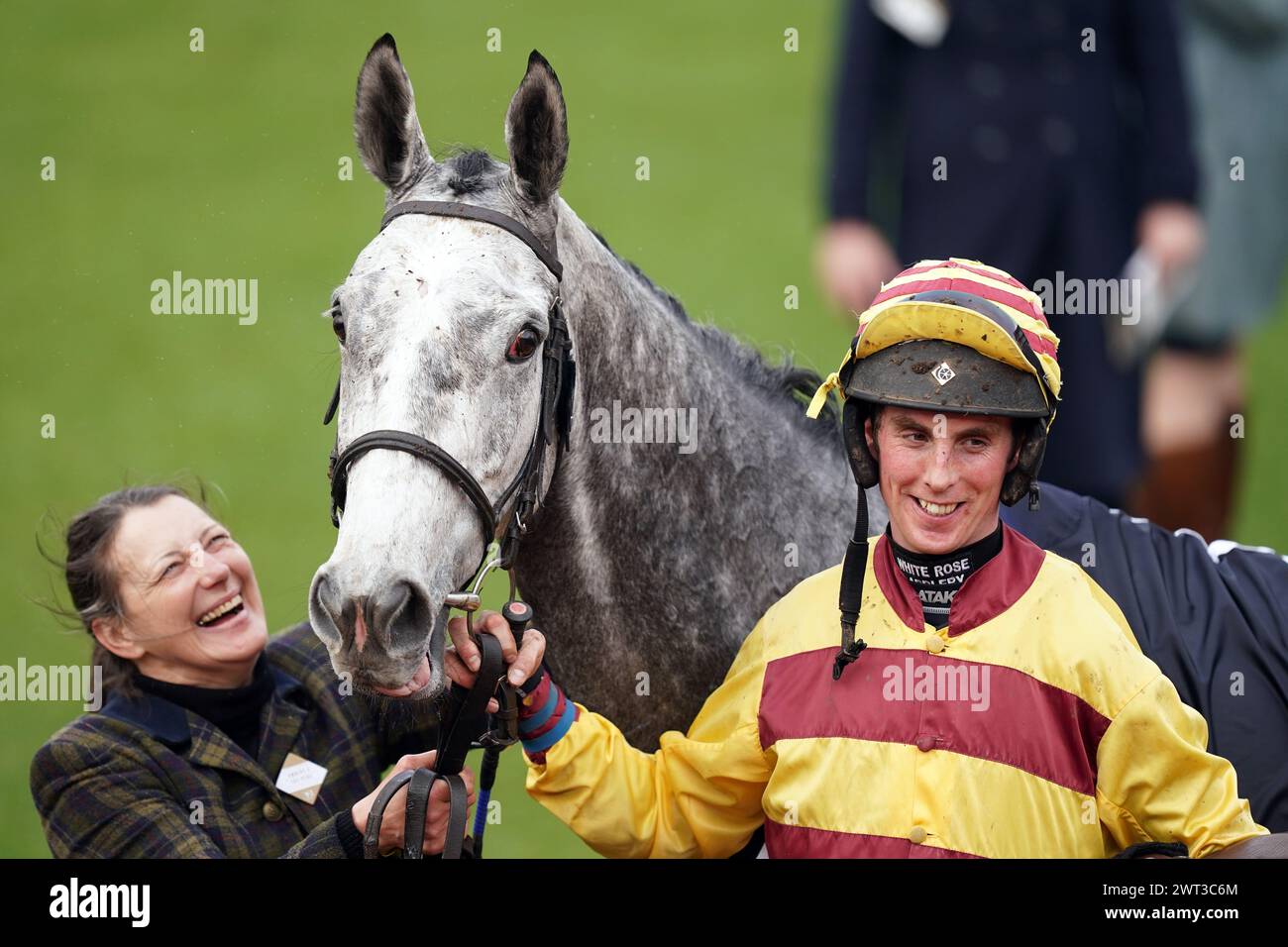 Sine nomine cheltenham 2024 hi-res stock photography and images - Alamy