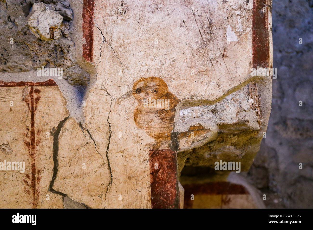 A fresco in the house of the Vettii, in the archaeological excavations ...
