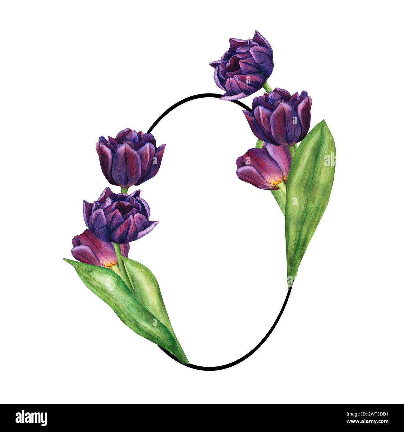 Oval Frame with Violet Tulips. Spring Bouquet of Purple Flowers ...