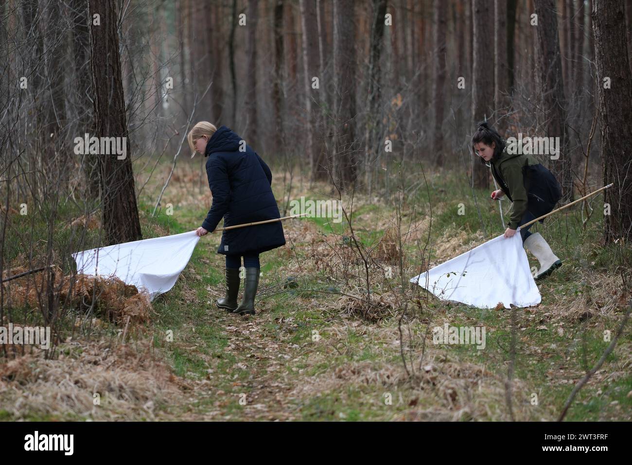 Lara flag hi-res stock photography and images - Alamy