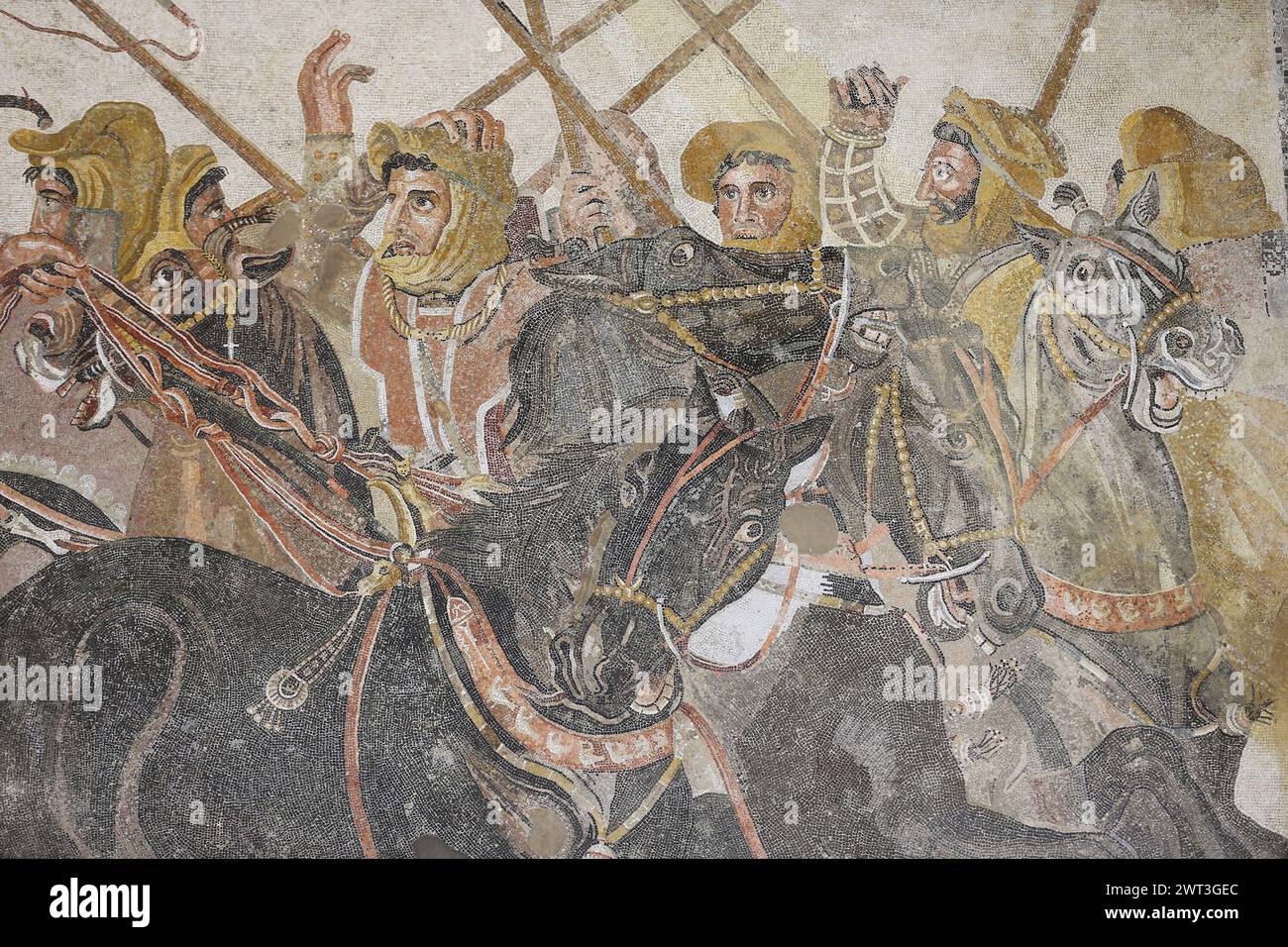 A detail of the Pompeian mosaic known as Alexander the Great Mosaic ...