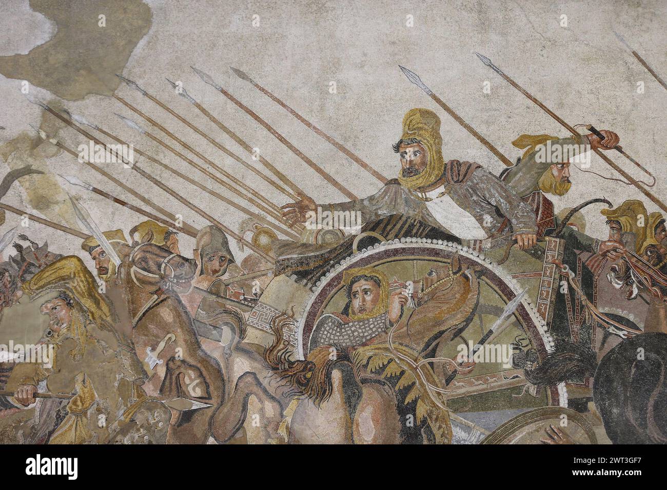 A detail of the Pompeian mosaic known as Alexander the Great Mosaic ...