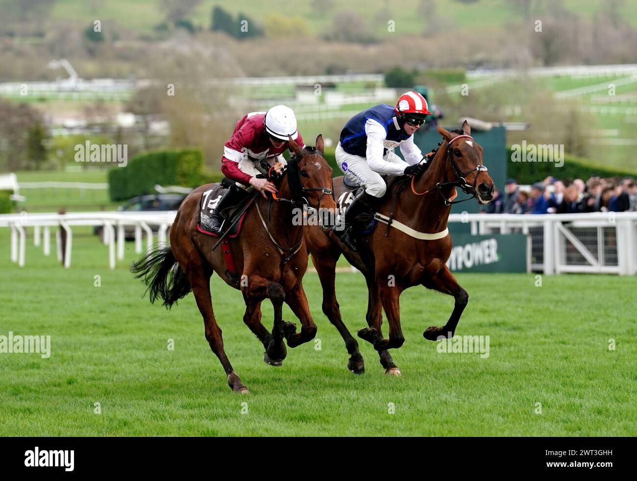 The jukebox man horse hi-res stock photography and images - Alamy