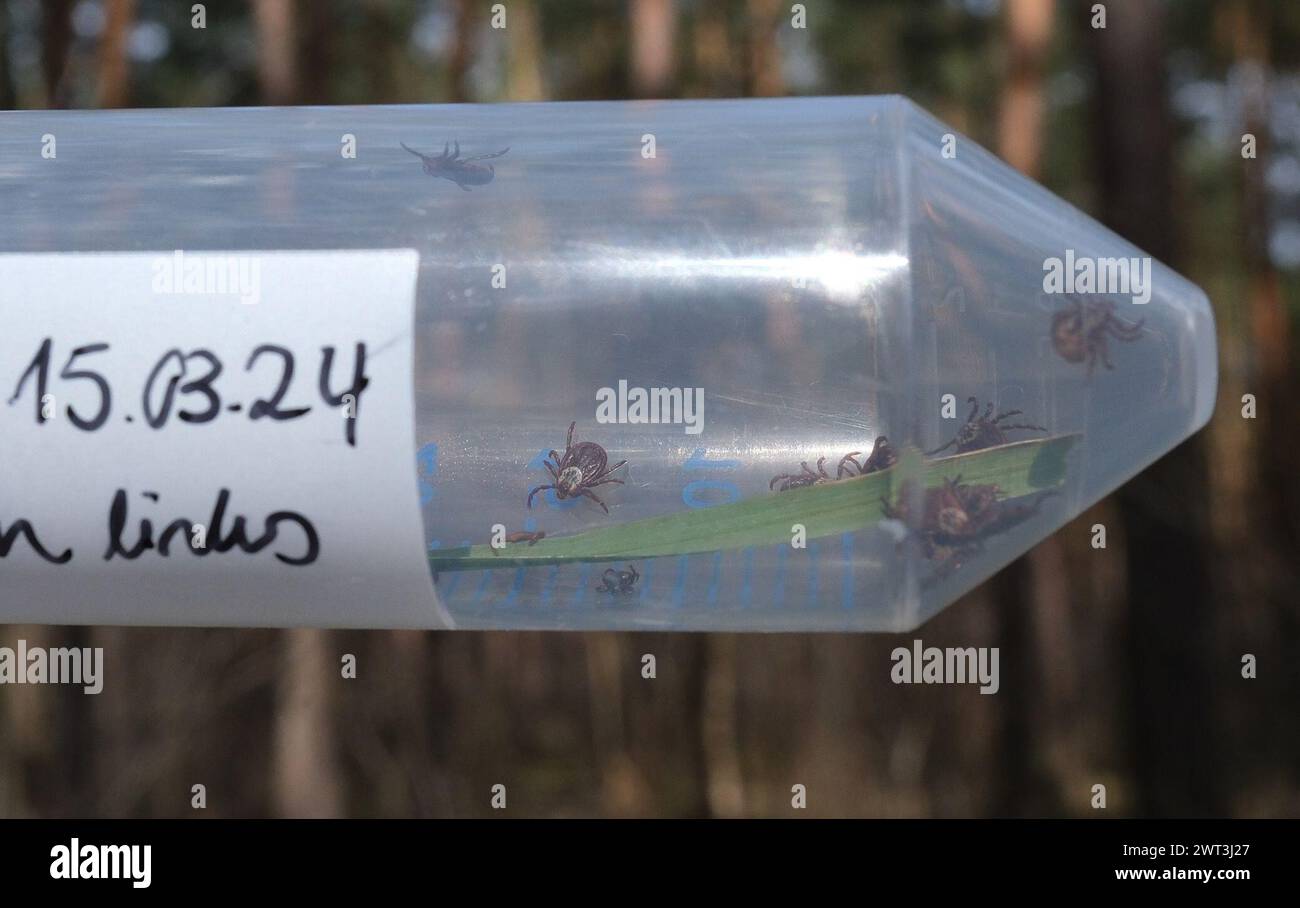 From the faculty hi-res stock photography and images - Alamy