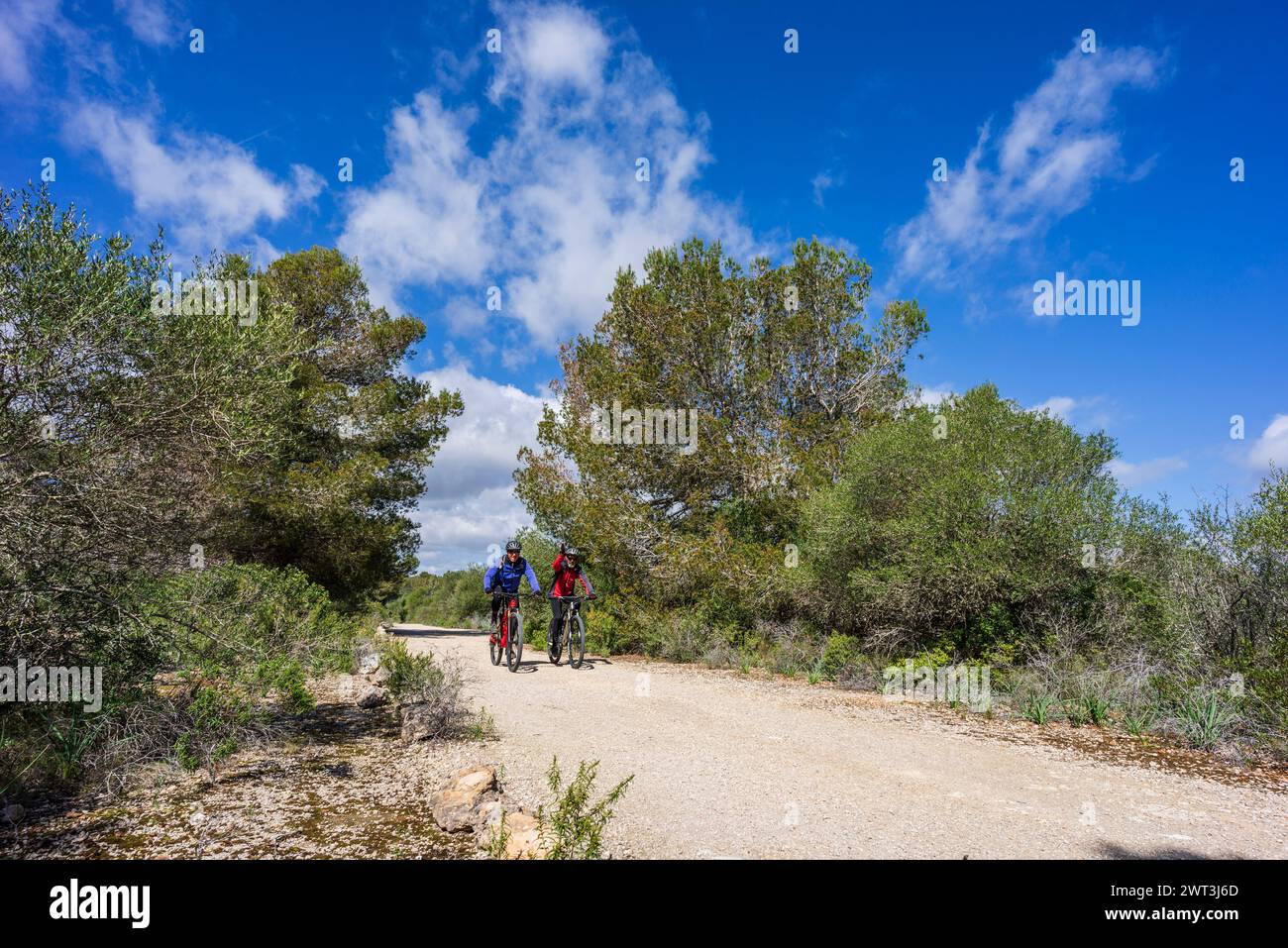 cycling route in Cala Magraner, Manacor, Majorca, Balearic Islands ...