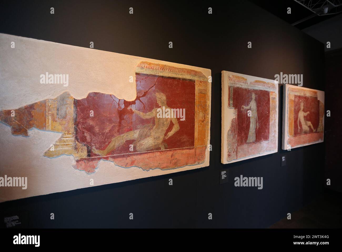 Pompeian frescoes inside inside the Libero D'Orsi Archaeological Museum ...