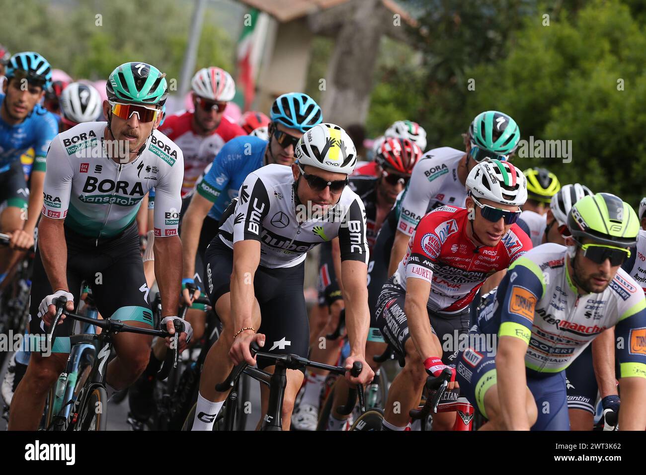 A group of chasing cyclists, with on left the cyclist Peter Sagan of the Bora-Hansgrohe Team ...
