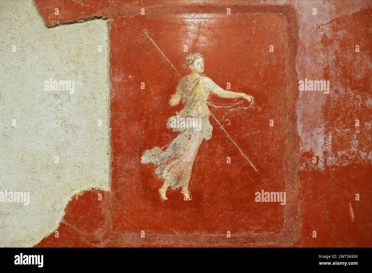 A detail of a Pompeian fresco inside the Libero D'Orsi Archaeological ...