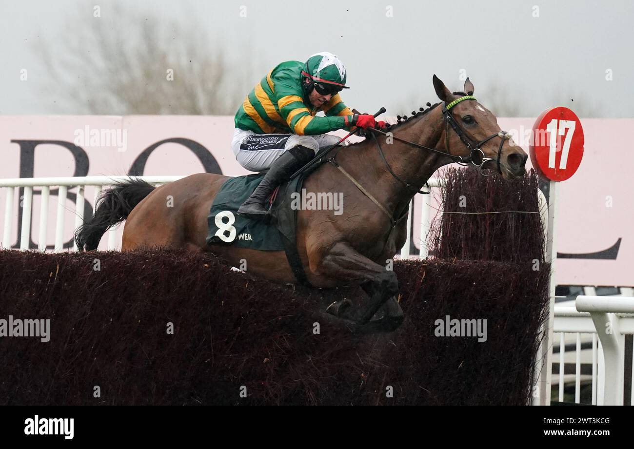Limerick lace horse hi-res stock photography and images - Alamy
