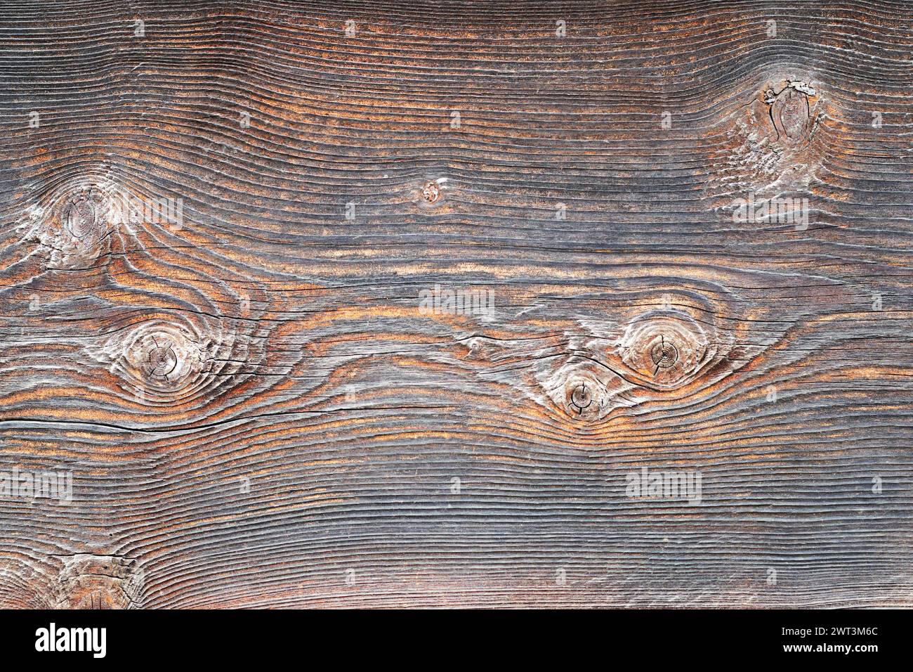detailed texture of real spruce plank, background ready for your design ...